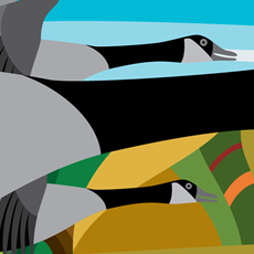 Wild Goose Chase | Trail Genius